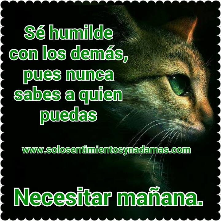 Sé humilde con los demás. - Solo sentimientos y nada mas