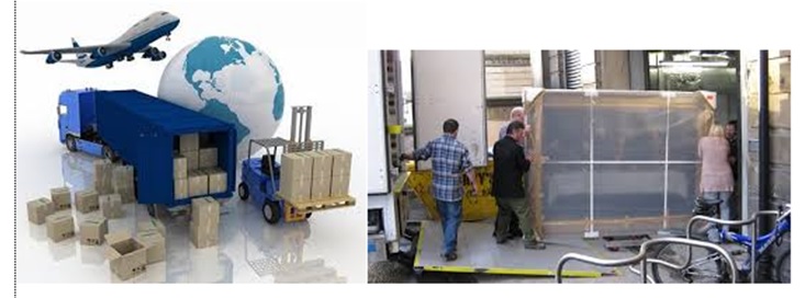 Health: HANDLING AND TRANSPORT