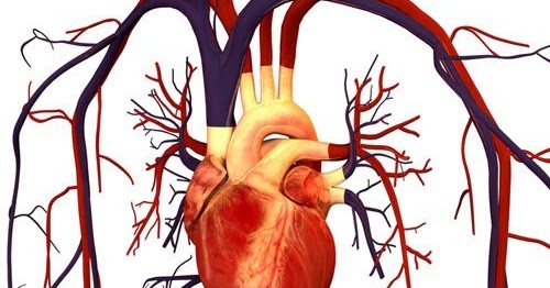 Cirugia Cardiovascular - La Medicina