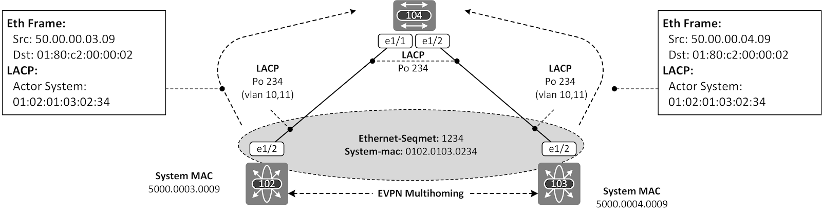 The Network Times Evpn Esi Multihoming Part I Evpn Ethernet Segment Es