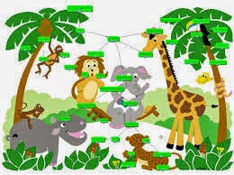 Life Science: Classification (S7L1)