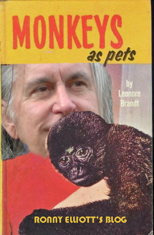 ronnyelliott: Ask The Monkey