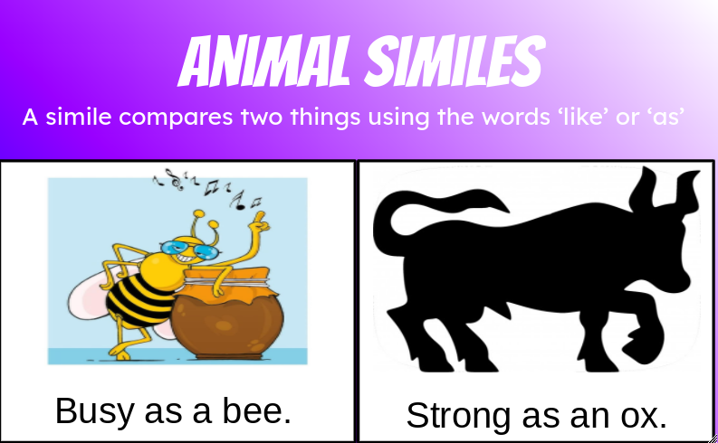 Mercy @ Panmure Bridge School: Animal Similes