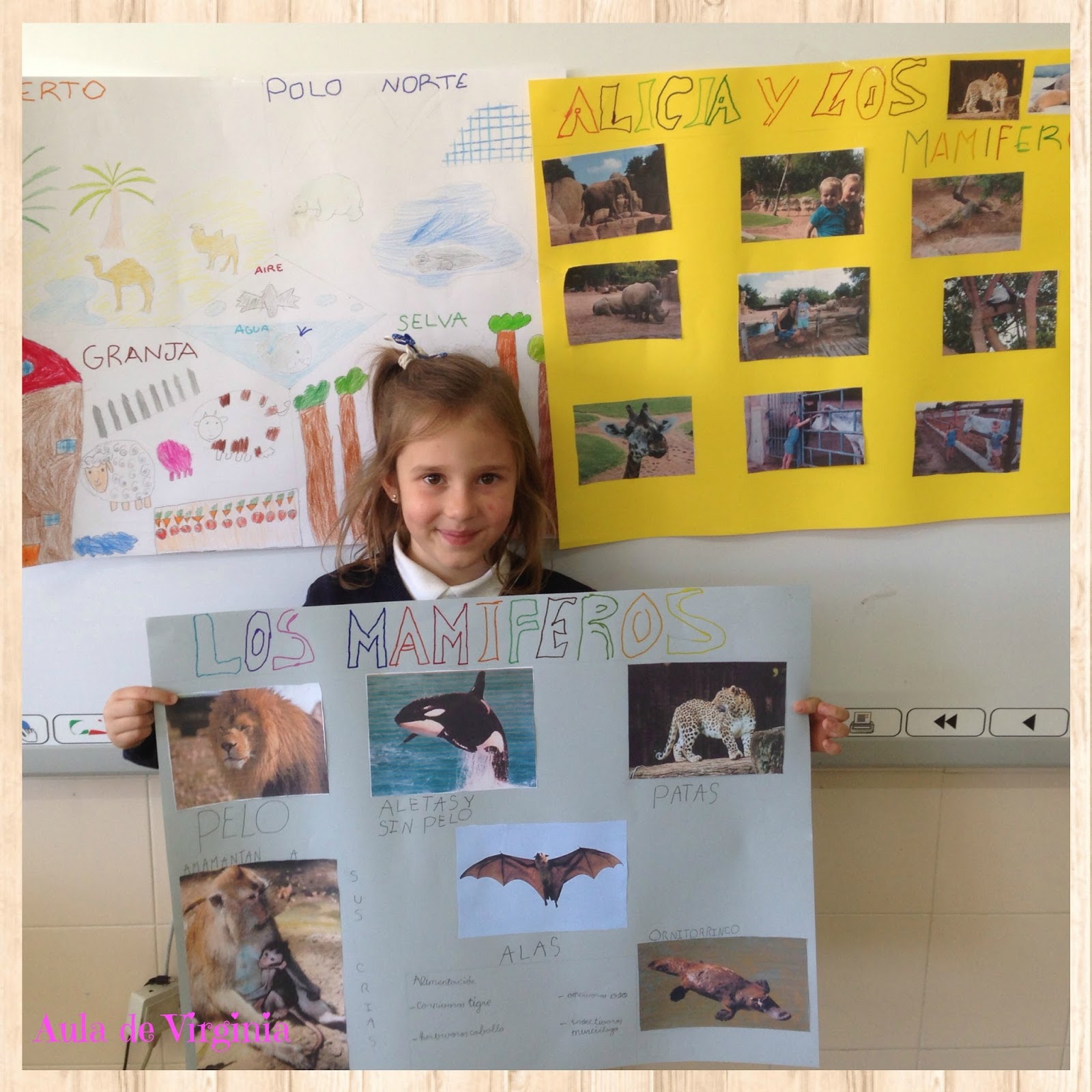 Aula de Virginia: Los mamíferos