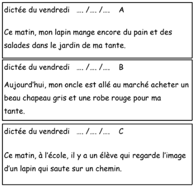 IPOTÂME ....TÂME: CE1 dictées et auto dictées série 1