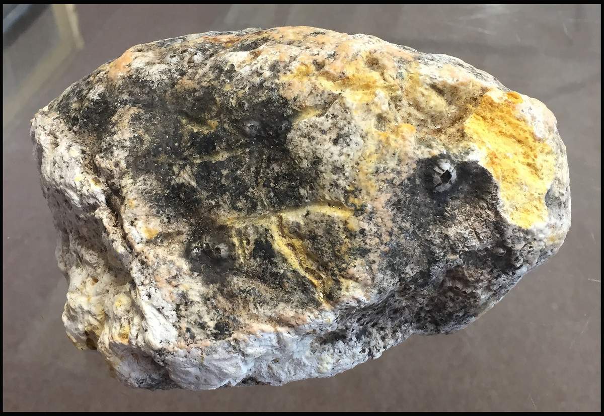 Beach Scavenger Finds 'Lump of Whale Vomit Worth £500,000' - Geology In