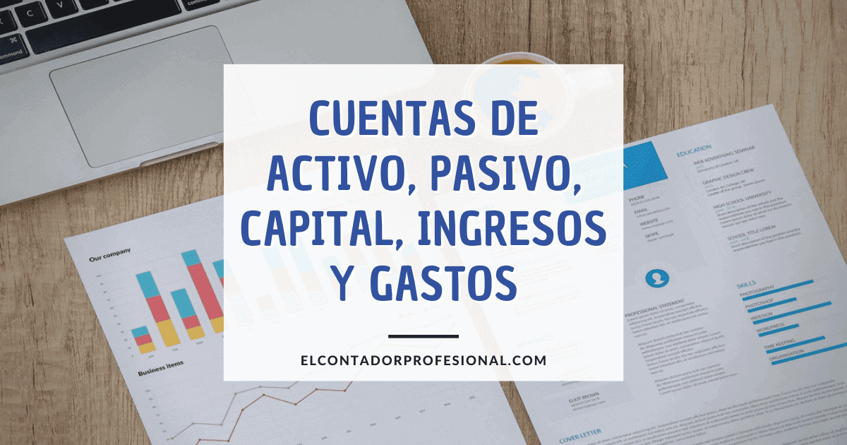 Cuentas de Activo, Pasivo, Capital, Ingresos y Gastos - Contador ...