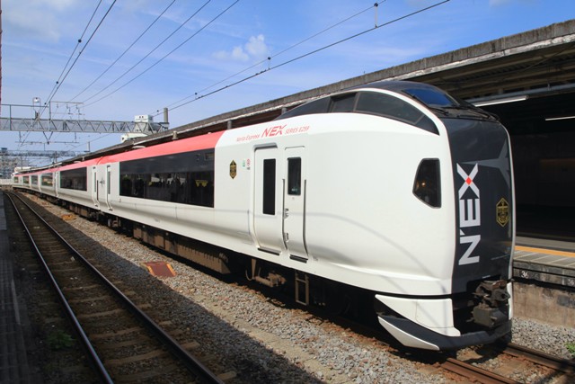 Tokyo Railway Labyrinth: Spring Sightseeing Season on the Ito Line