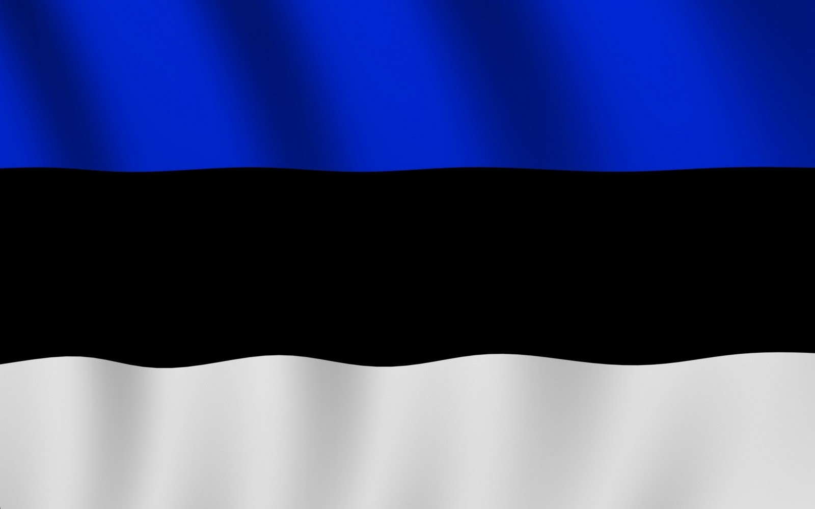 Estonia Flag Pictures