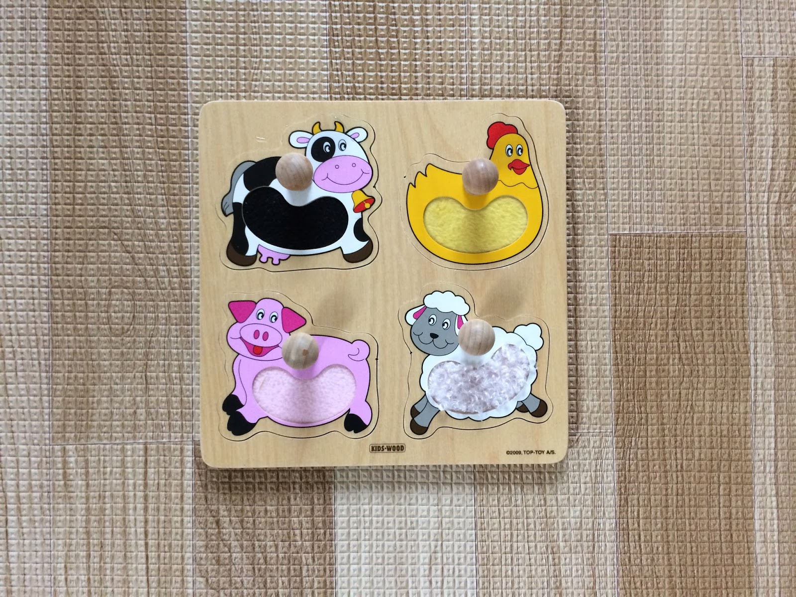 Family FECS: Toy of the Day: Touch-&-Feel Baby Jigsaw Puzzle (6M26D)