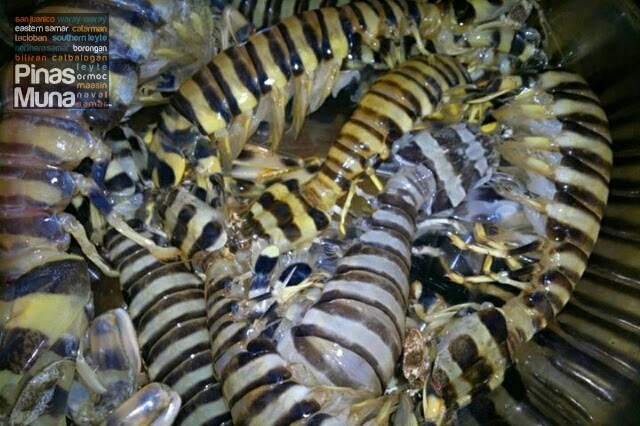 Kamuntaha a Local Delicacy in Biri, Northern Samar