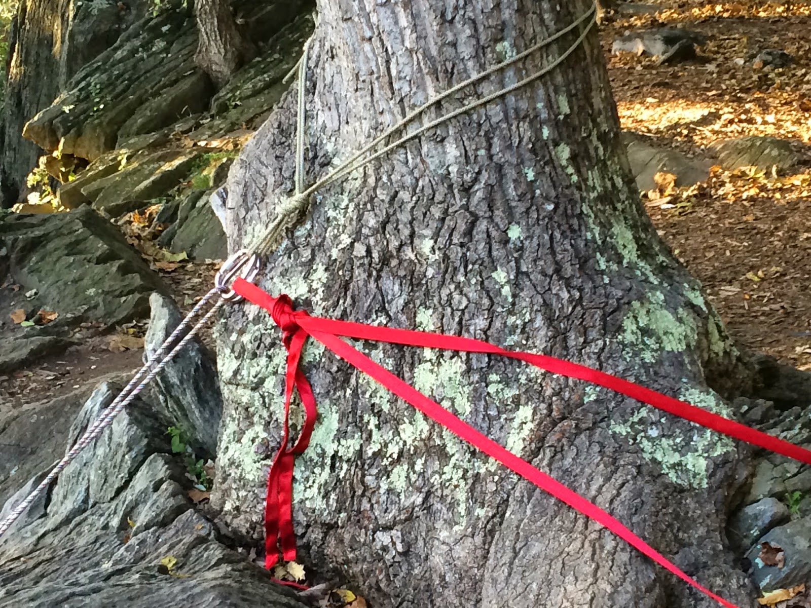 DumbAnchors: Do 2 bad anchors make 1 good one?