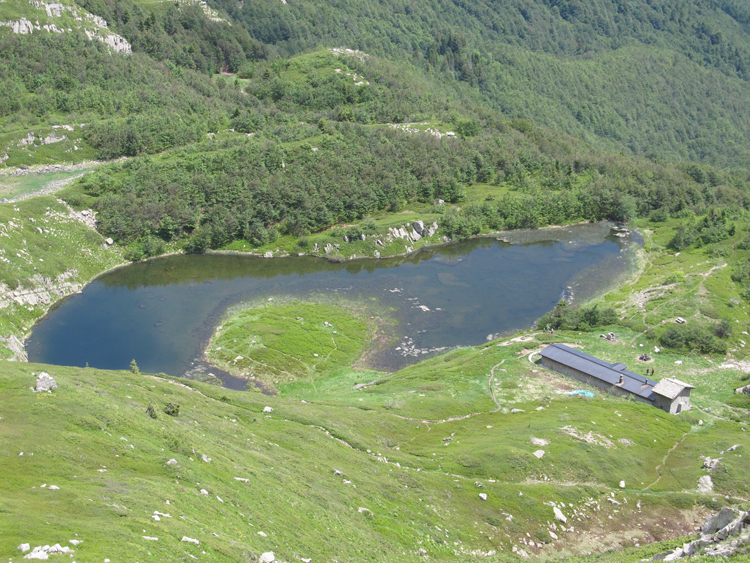 Escursionismo a 360°: Alpe Tre Potenze e Gomito (per il Lago del Greppo) EE