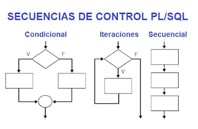 Sentencias de control en PL/SQL - Programación PL/SQL