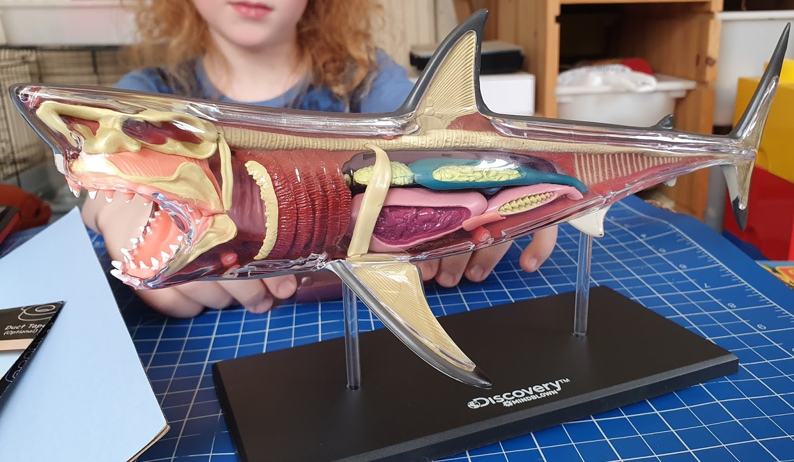 The Brick Castle: Discovery Mindblown 4D Shark Review and Giveaway Age ...