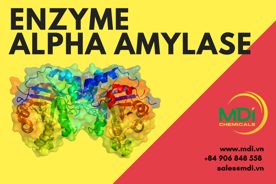 Enzyme Alpha Amylase và Ứng dụng