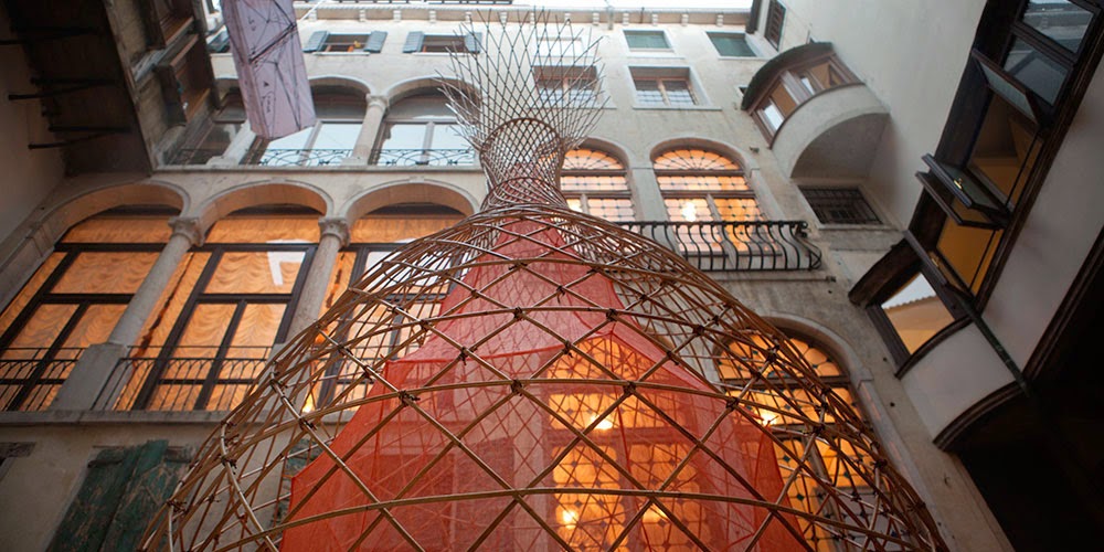 Reforestation and the Medicinal Uses of Trees -Liliana Usvat Research ...