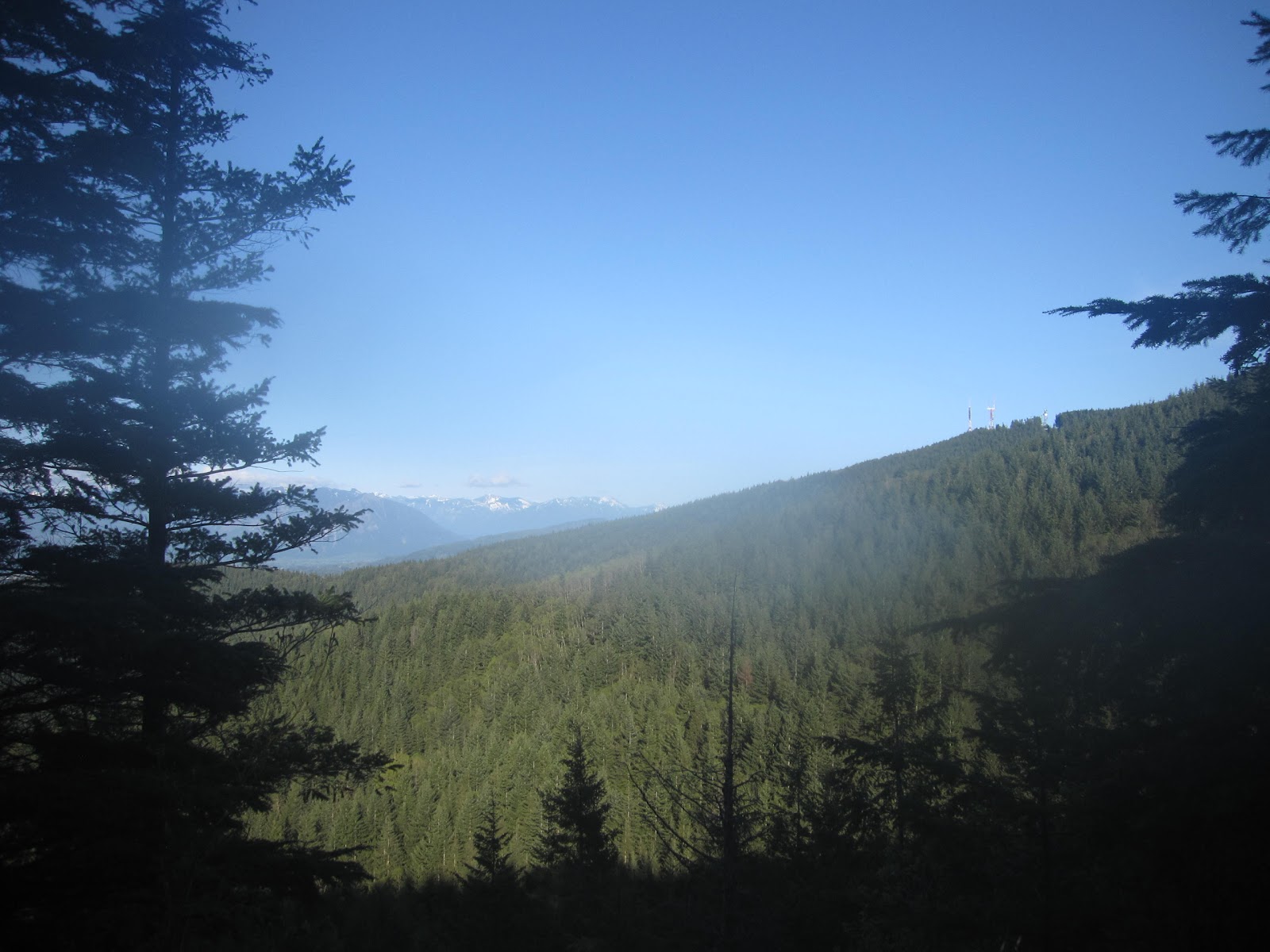 Summit: West Tiger Mountain #3, Cable Line Trail 6/03/2011