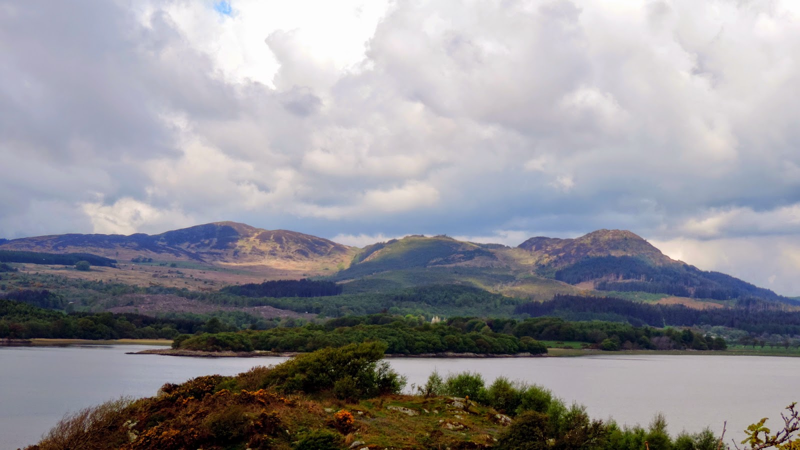 The Glebe Blog: Walkfest - The Almorness Peninsula - May 2014