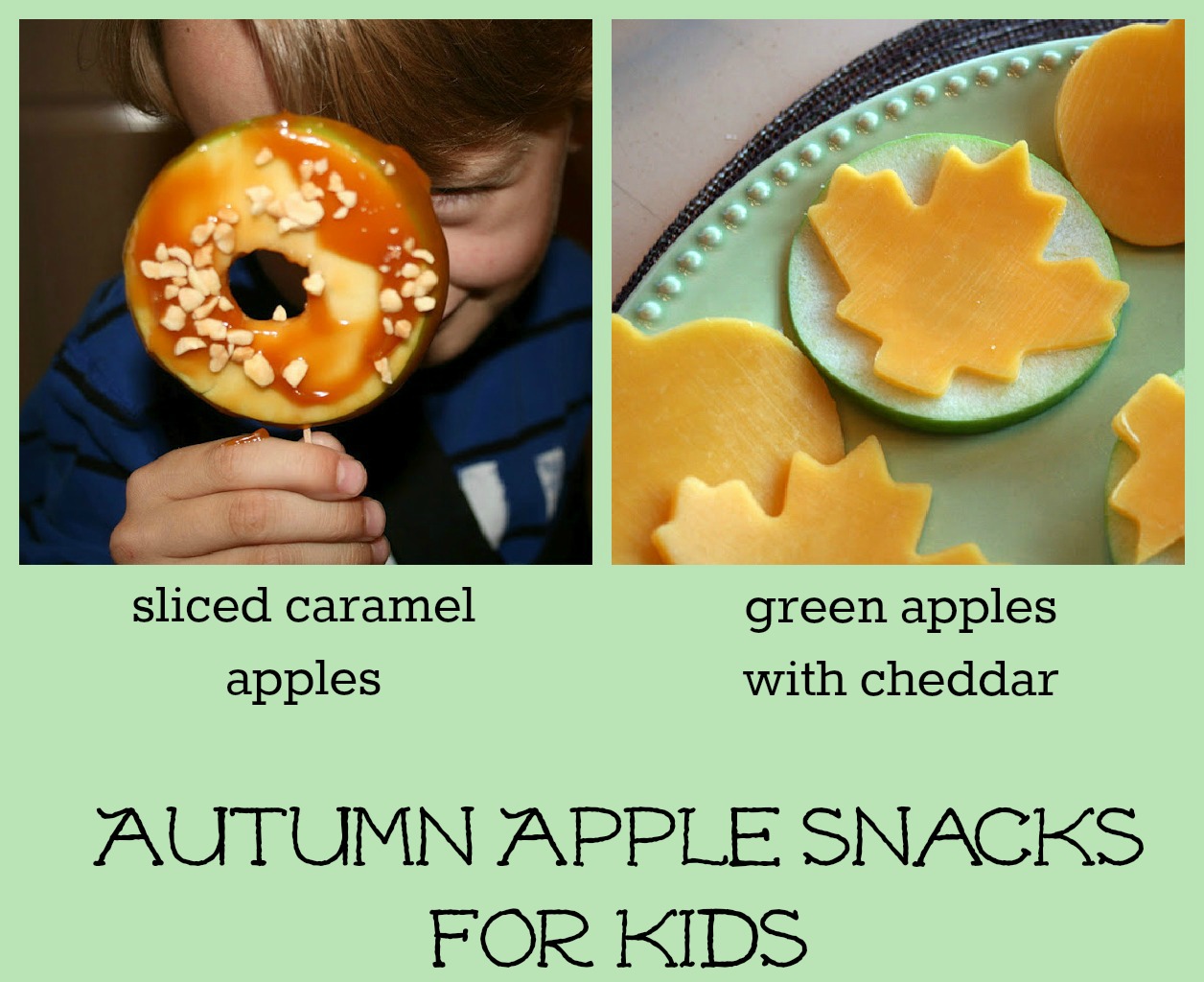 Moore Minutes: A GATHERED collection of autumn: recipes, leaf tours ...