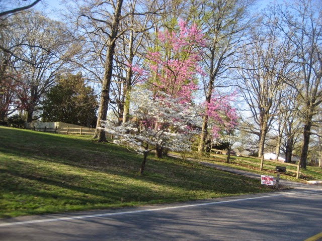 Valkyrie Adventure: Spring In East Tennessee
