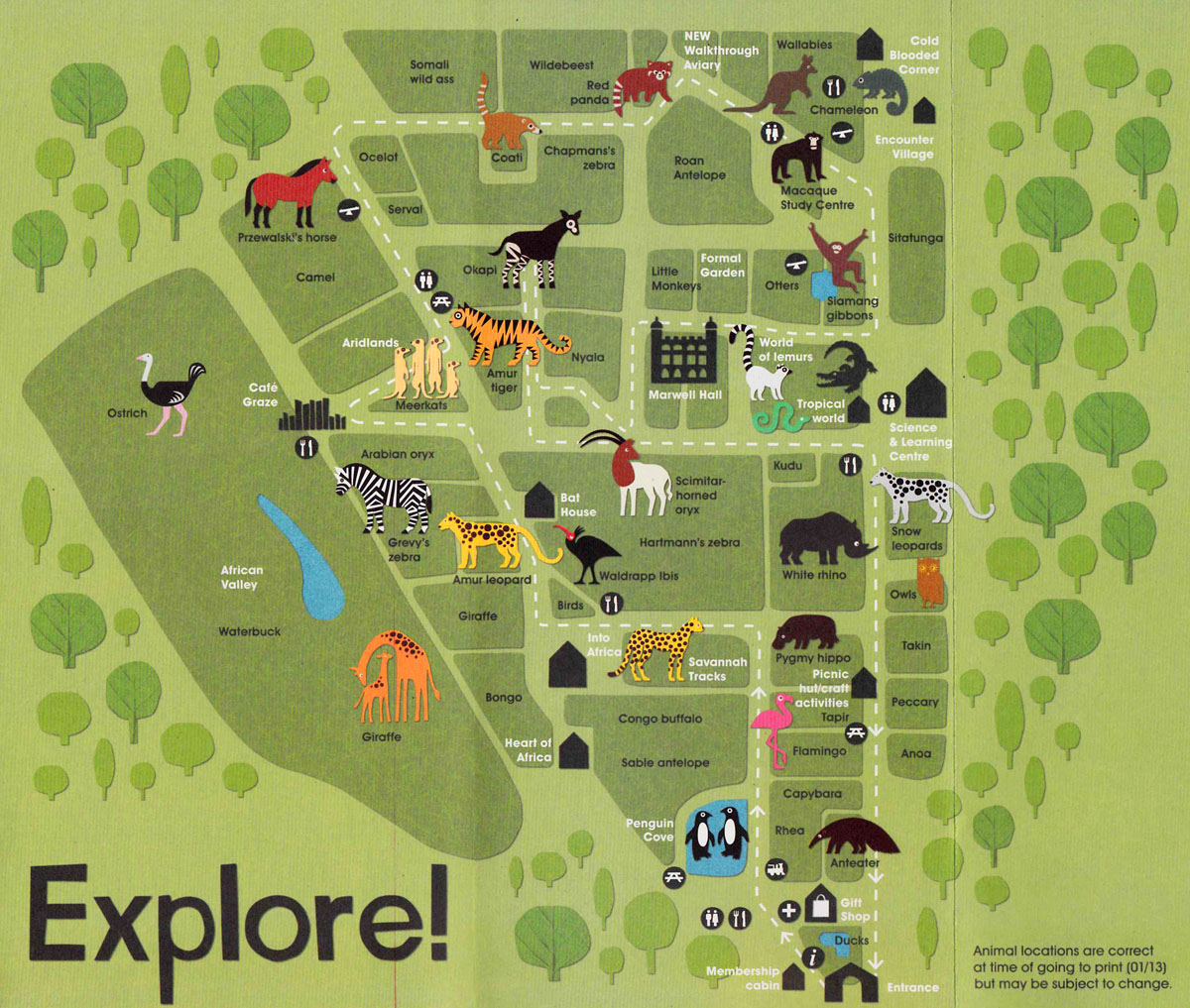 Rebecca Sutherland: Marwell Zoo Animals and Map