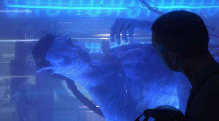 Screen Vistas: CAMERON ROUNDTABLE: AVATAR (EXTENDED EDITION)