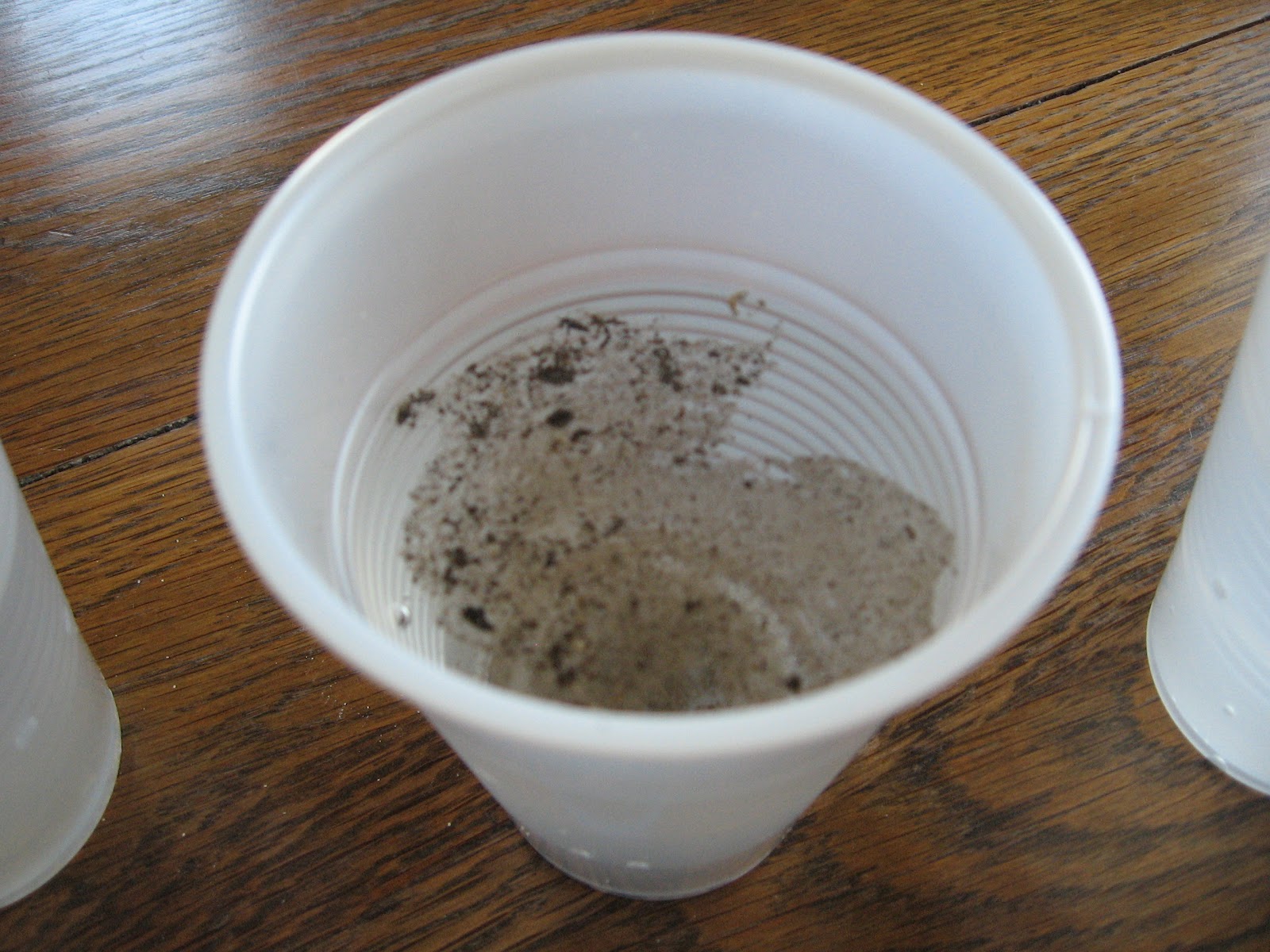 Almost Unschoolers: Science Sunday - Sand