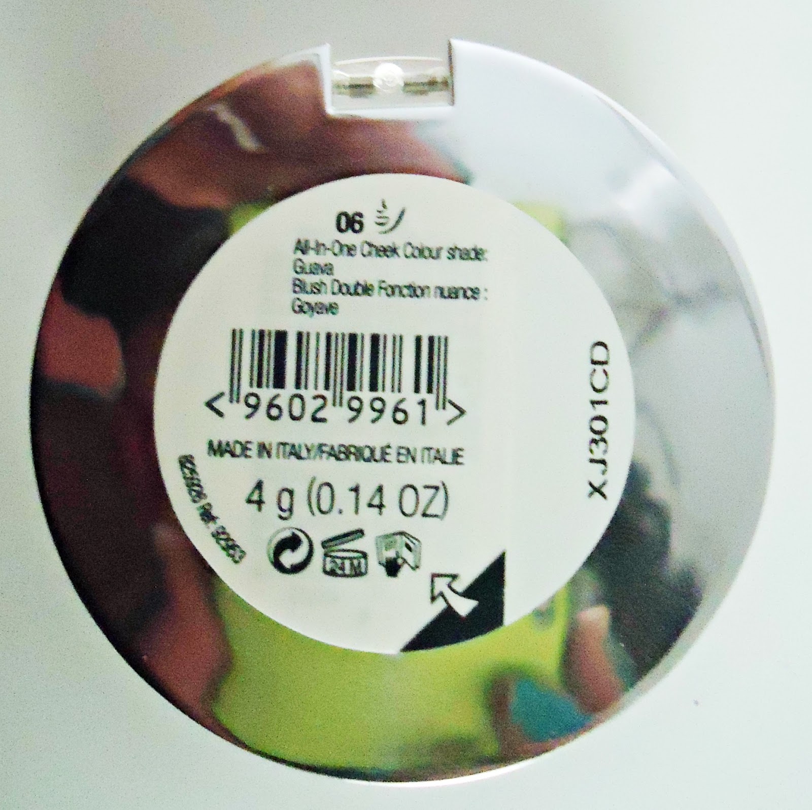 Mahnoor's Haul: The Body Shop All In One Blusher