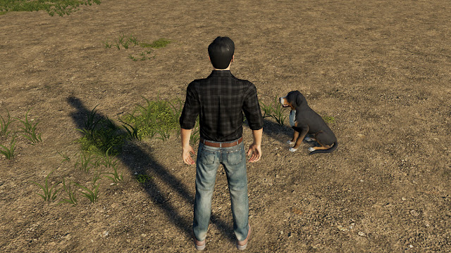 CAMERA EM TERCEIRA PESSOA FS19