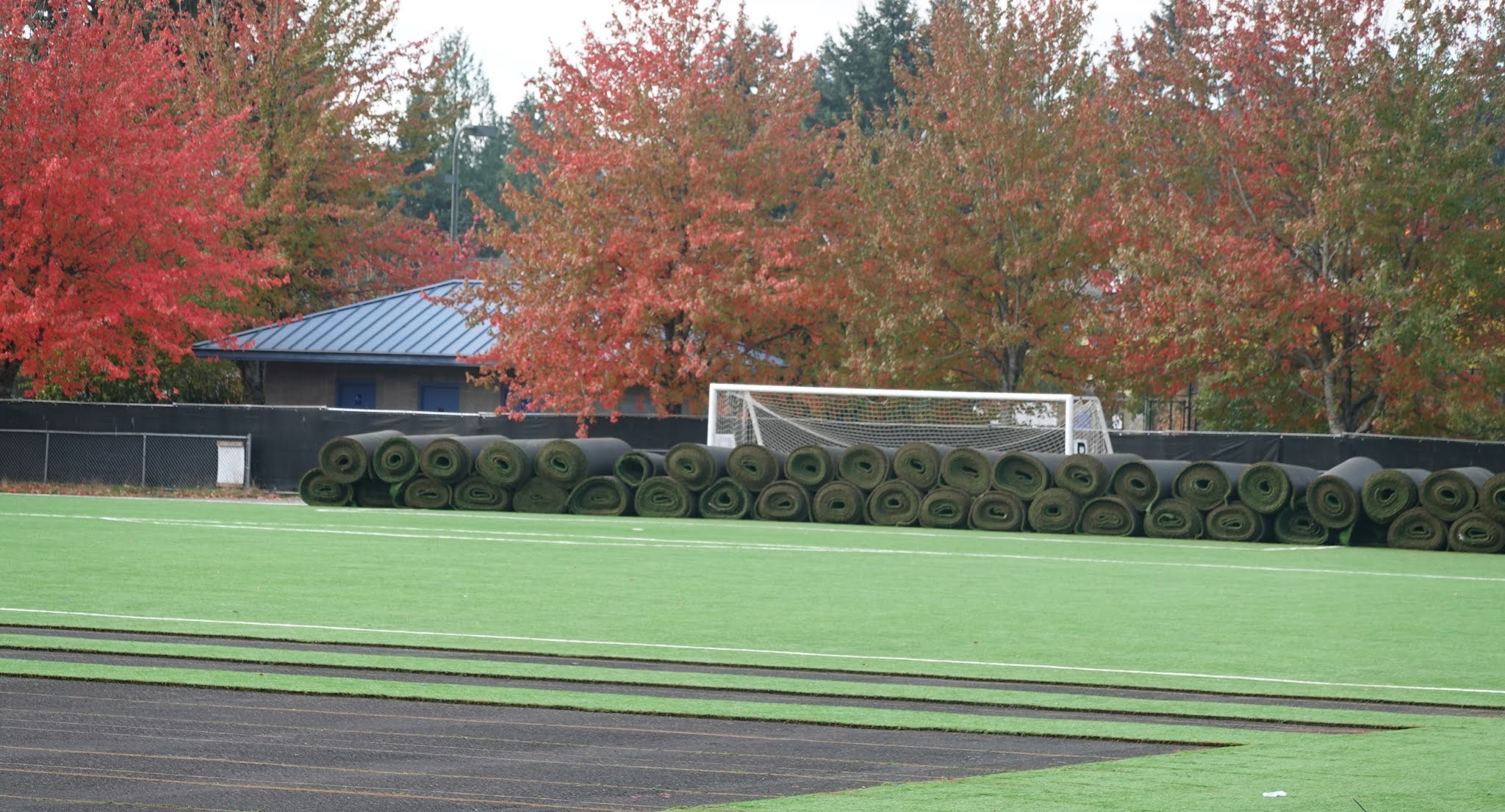 Shoreline Area News: Preparations underway to renovate Shoreline Soccer ...