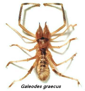 Riva Aile Sağlığı Merkezi