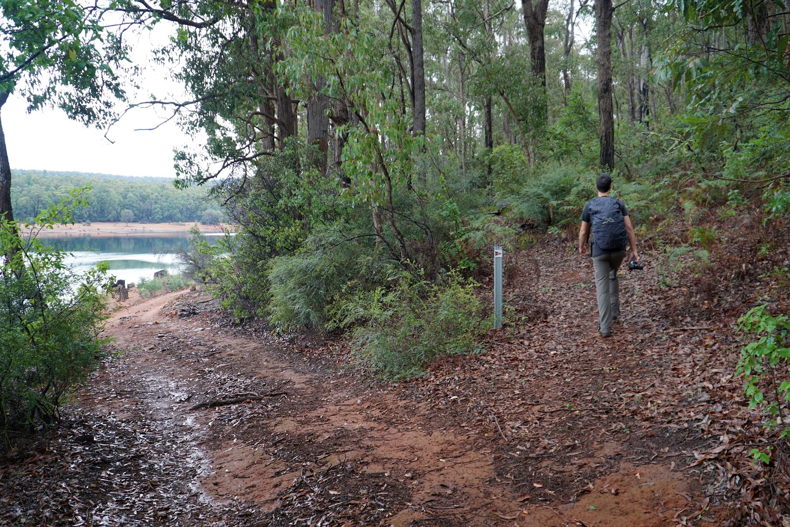 Wiilman Bilya Trail (Wellington National Park) ~ The Long Way's Better