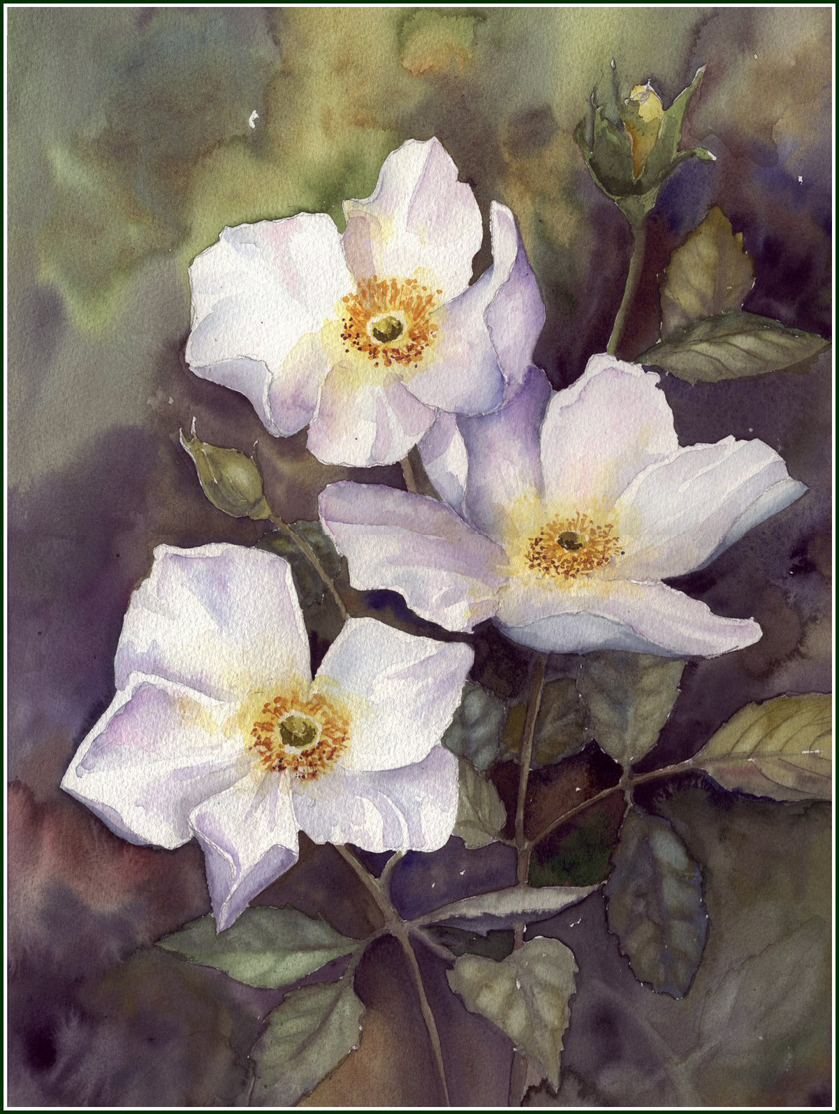 Watercolour Florals: Variety of Approaches: Roses