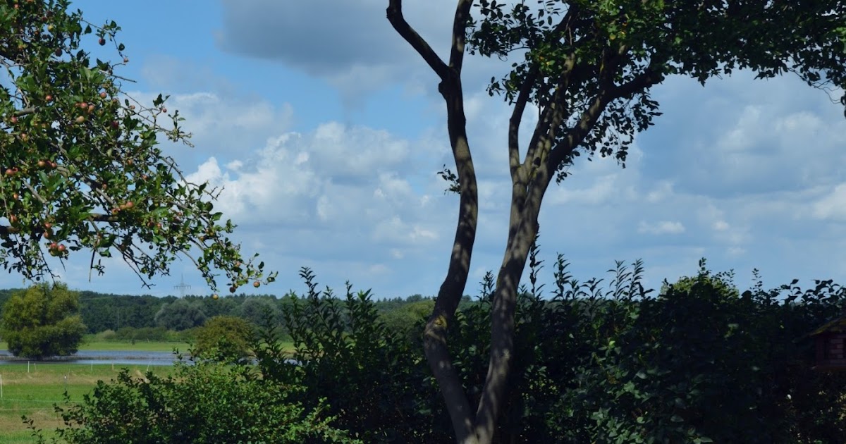 Alashiya: Ausbruch aus dem Farbschema