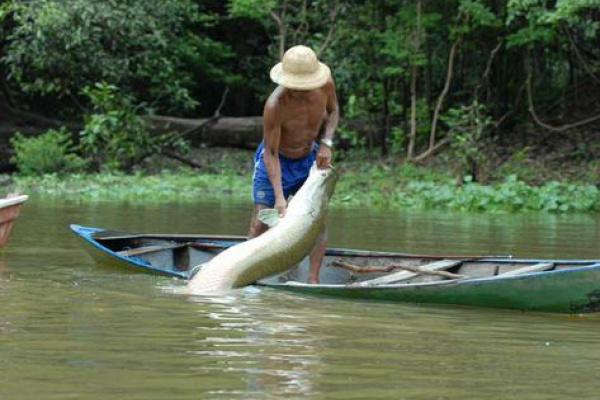 Os Povos da Floresta: Ribeirinhos
