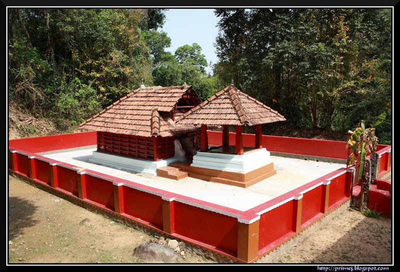 Prime Photos: April 2011