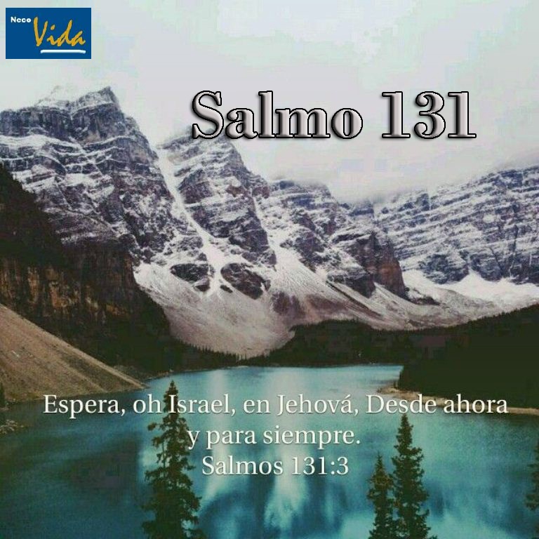 Neco Vida: Leyendo... Salmo 131