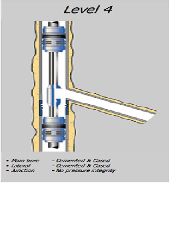 Drilling and Completion of Multilateral Wells | petroleum pedia