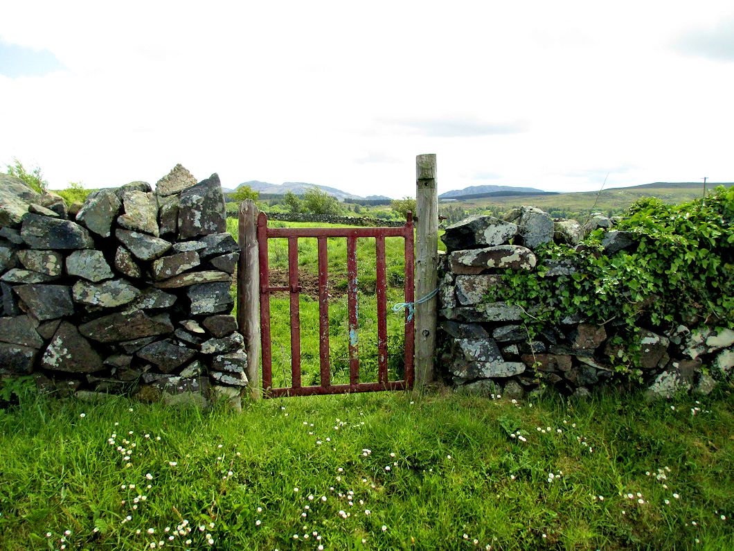 Somewhere in Ireland: gates