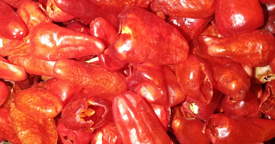 Origen de Chile Comapeño