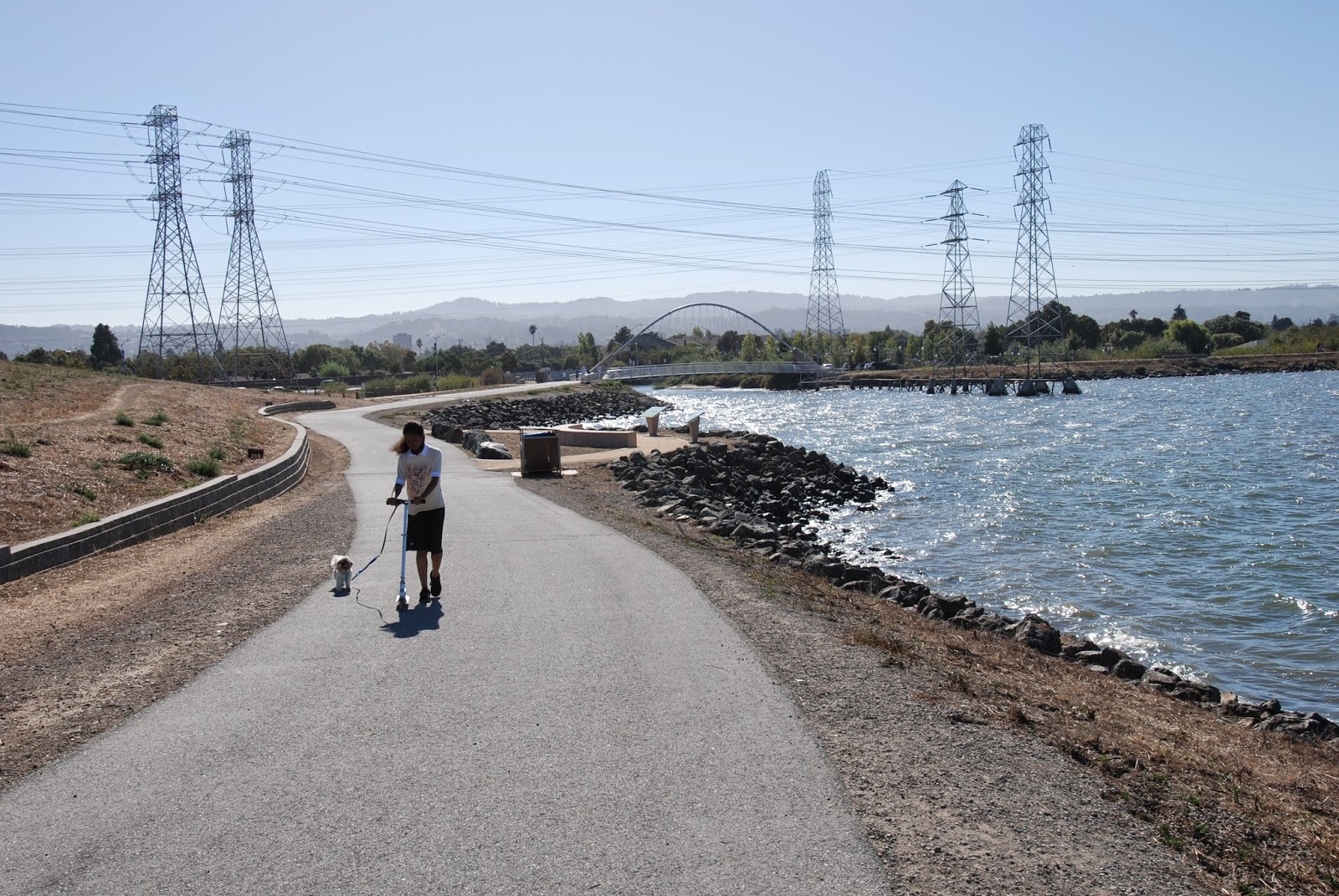 Bridge of the Week: San Mateo County, California Bridges: Ryder Park ...