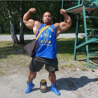 world bodybuilders pictures: sweden bodybuilder Karl Andersson