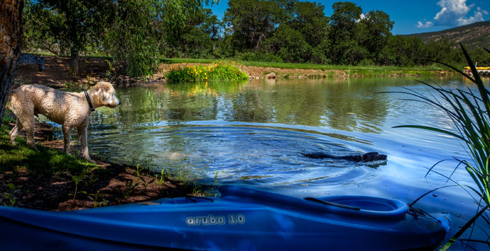 The Joe Cocker Estate, Crawford, Colorado, Luxury Estate for Sale