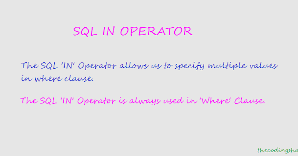 SQL IN Operator - The Coding Shala