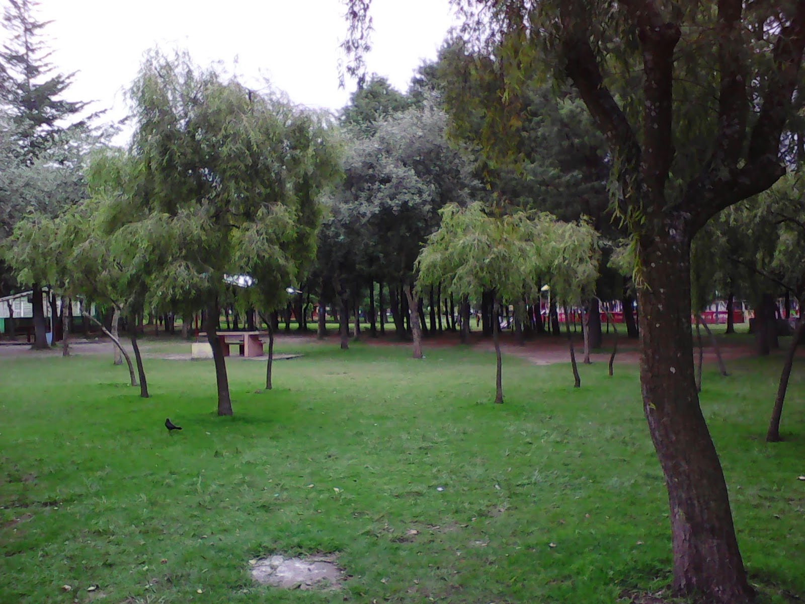 Toluca. Parque Vicente Guerrero
