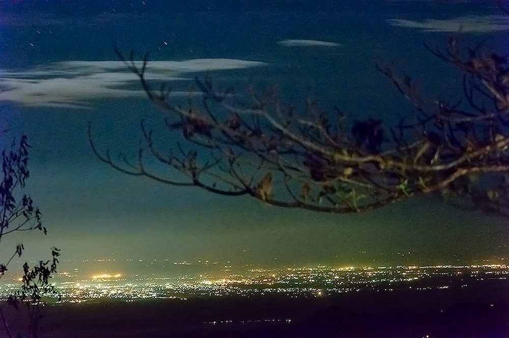 "DOOARS" THE HEAVEN OF NORTH BENGAL: JHANDI ECO HUTS