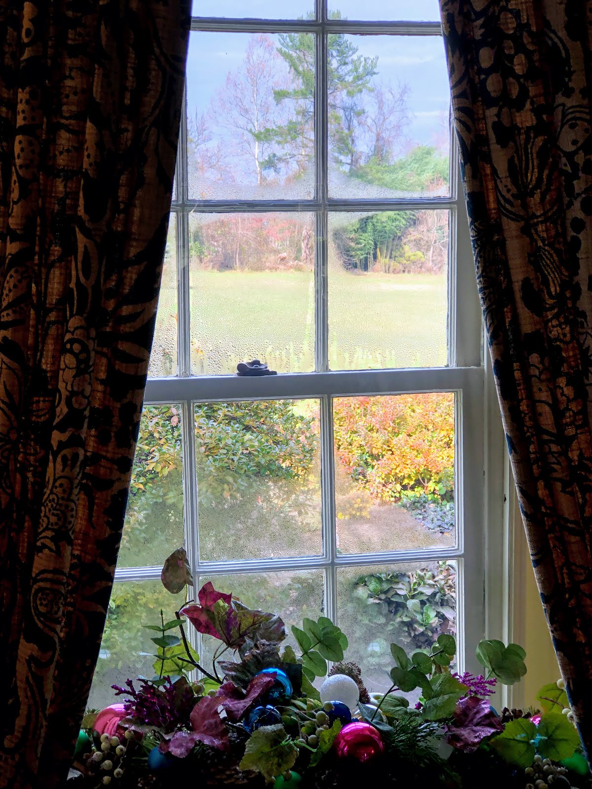 Walking Arizona: Festive Holiday Window