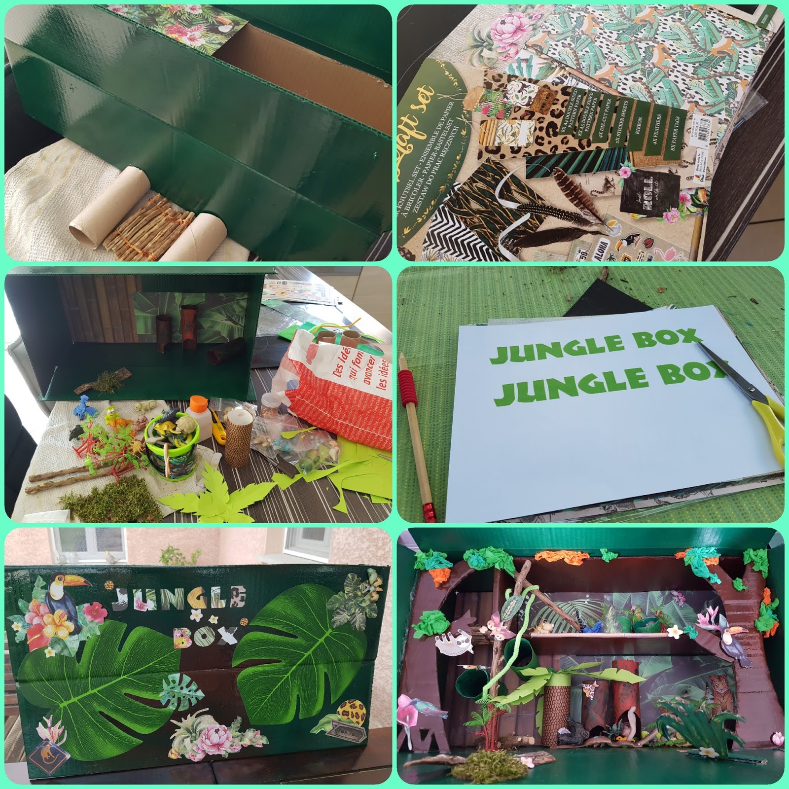 Sous le feuillage: JUNGLE BOX [DIY] (vidéos inside)