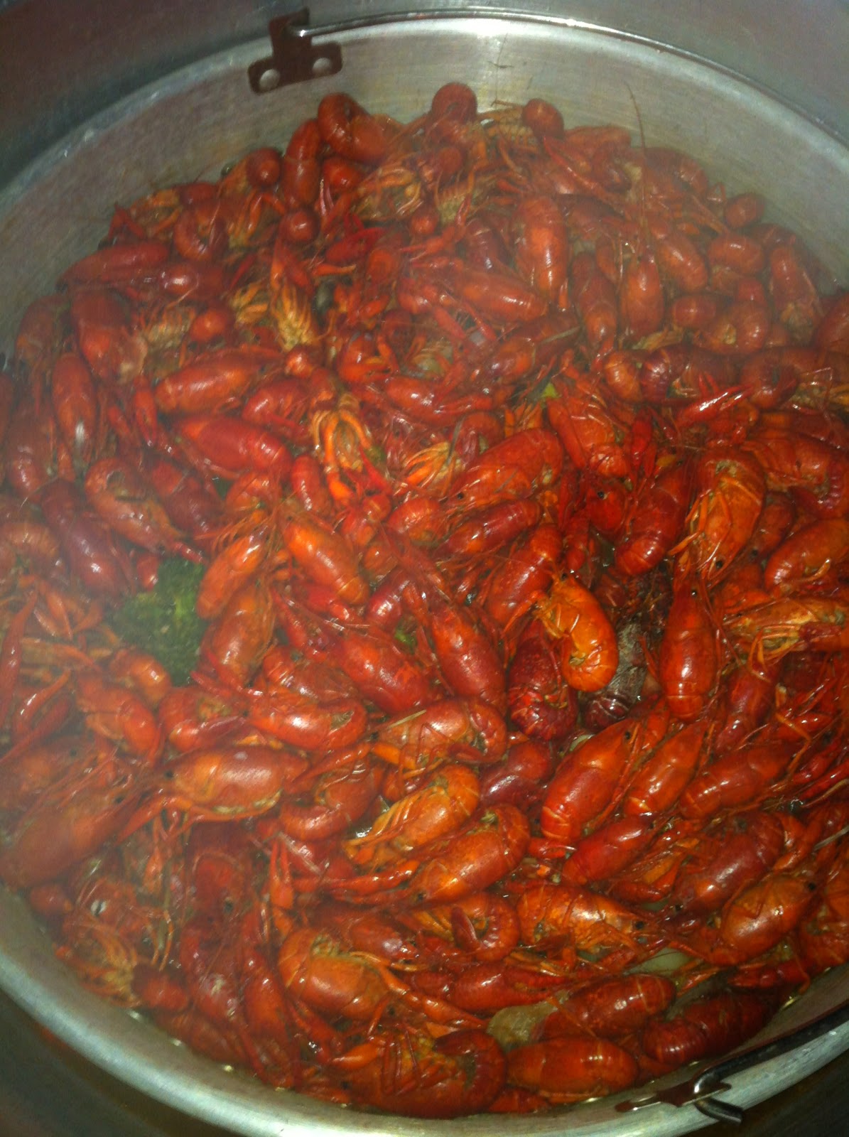 The Uptown Acorn: Crawfish is King